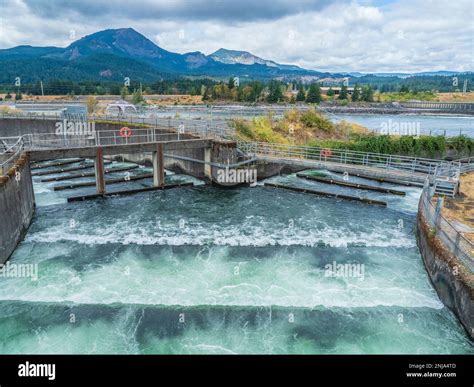 Fish Ladders Bonneville Dam Columbia River Gorge National Scenic Area