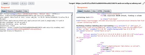 Portswigger Sql Injection Labs And Notes Writeup Xdev05