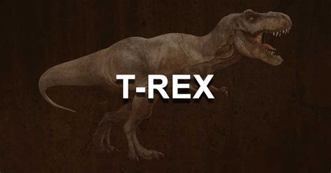 T Rex NVIDIA GPU Miner Windows Linux Supported Algorithms Performance
