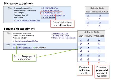 Raw Data Arrayexpress