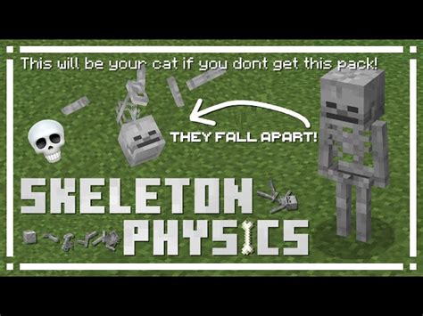 Skeleton Physics Minecraft Texture Pack