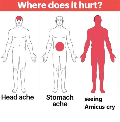 Why Cant I Hug A Sprite Radastra