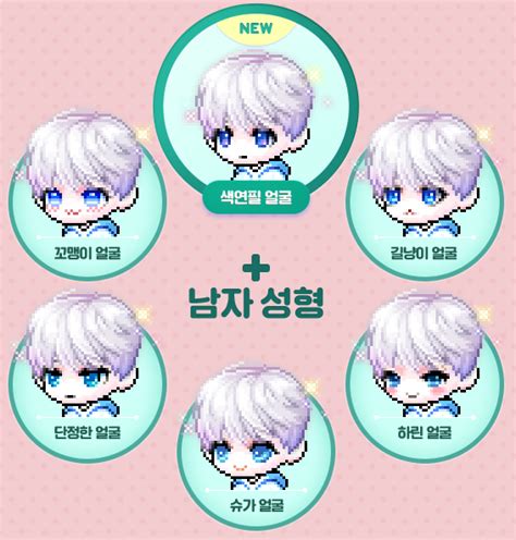 메이플 7월 줄라이 로얄 헤어성형 쿠폰 확률 네이버 블로그