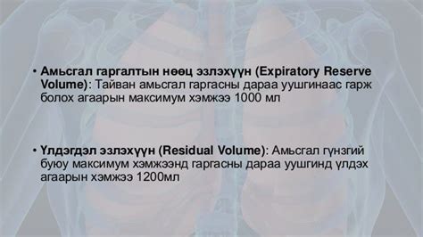 Амьсгалын эрхтэн тогтолцооны физиологи