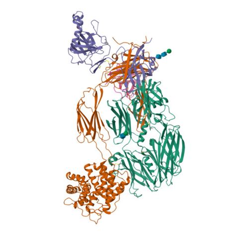 Rcsb Pdb 6ysq The Hc4nb8 Complement Inhibitory Nanobody In Complex With C4b