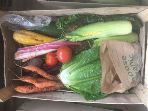 Large Organic Vegetable Box Organic Food Box Ripple Farm Organics