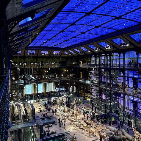 Pourquoi Visiter La Grande Galerie De L Evolution Pariscrea