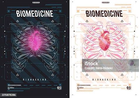 데이터 모니터 현대 건강 검진 Hud 스타일 인체 스캔x선 의료 인포그래픽 3차원 형태에 대한 스톡 벡터 아트 및 기타 이미지 3차원 형태 가상현실 개념 Istock