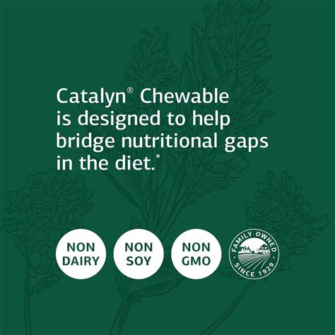 Buy Standard Process Catalyn Chewable Foundational Support For