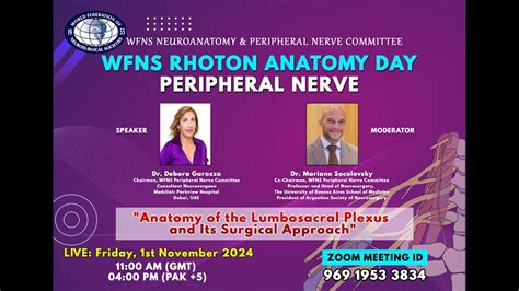 Anatomy Of The Lumbosacral Plexus And Its Surgical Approach Youtube