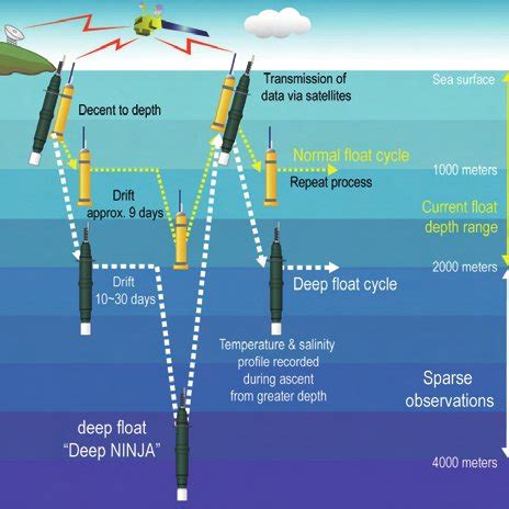Schematic View Of A Float Internal Mechanism From The Web Site Of Download Scientific Diagram