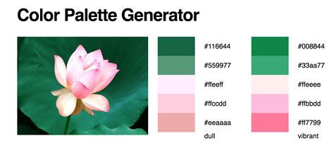 5 Best Color Picking Tools For Your Front End Projects Liberian Geek