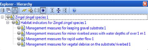 Hierarchy Of Process Modeled Download Scientific Diagram