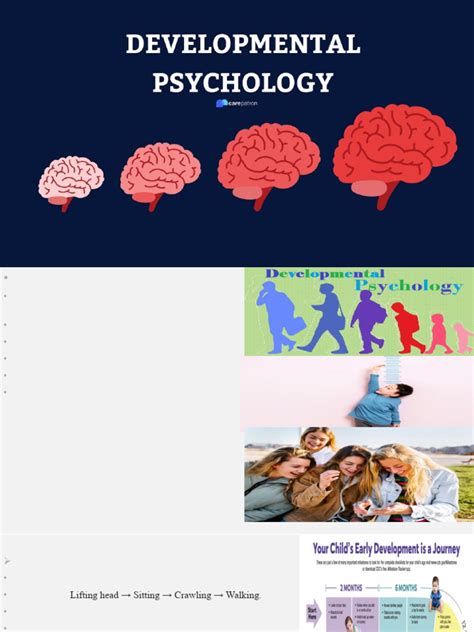 Developmental Psychology Overview Pdf Adolescence Caregiver
