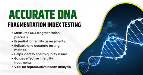 Accurate Dna Fragmentation Index Testing In Indore Yaami Ivf