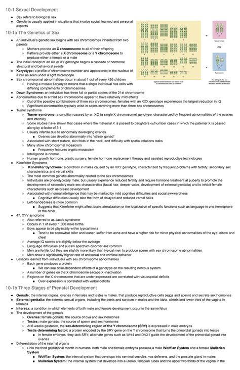 Exam 4 Readings Sheree Logue 10 1 Sexual Development Sex Refers To