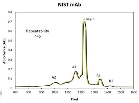 New Discover Our Protein Characterisation Services Isogen Lifescience