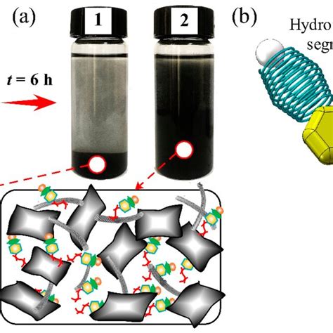 Physical Modification A Suspension Stability Tests For 1 Gnps And