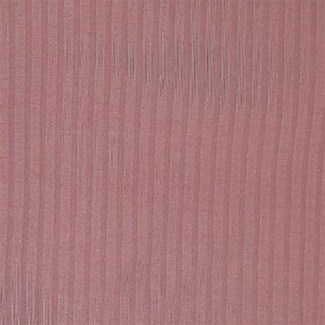 Daniela Contreras Youtube