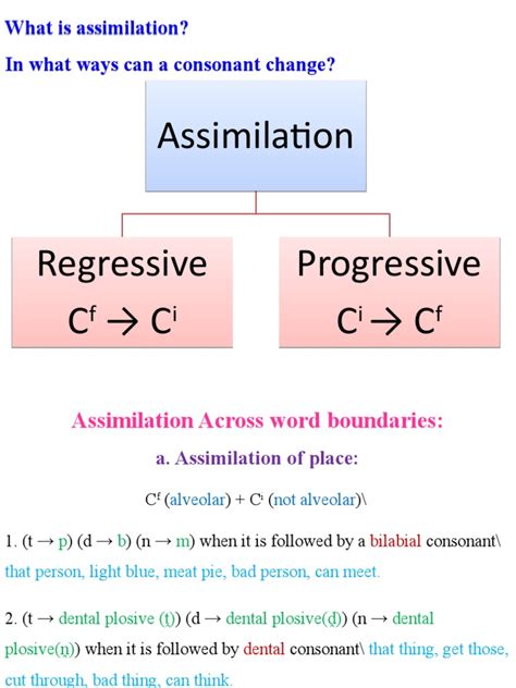 Assimilation Examples
