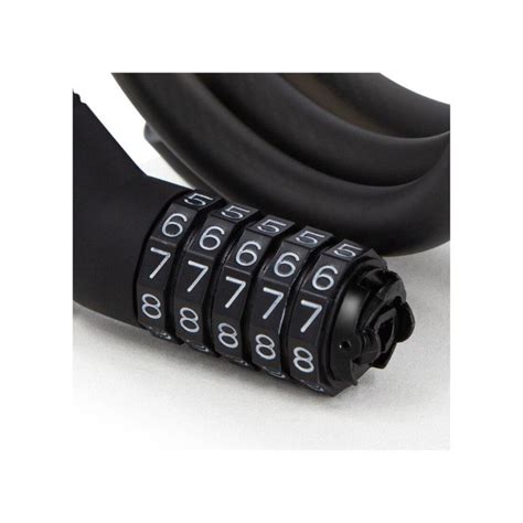 Ninebot Password Lock