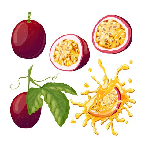 Premium Vector Passion Fruit Set Cartoon Vector Illustration