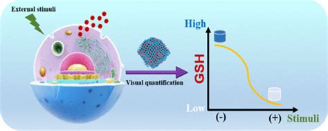 Molecular Network Bearing Fe N C Single Atom Nanozymes For Monitoring