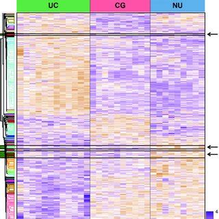 Unsupervised Hierarchical Clustering Of 1 139 Differentially Expressed