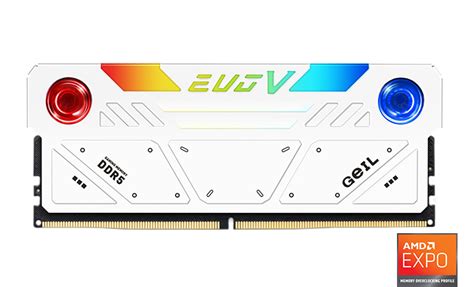 Geil Ready With Evo V And Polaris Amd Expo Edition Ddr5 Memory Kits Up To Ddr5 6400 With Rgb