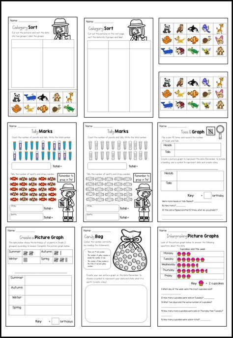 Data And Graphs Worksheets Picture Graph Bar Graph Collect Represent Draw