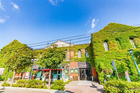 北海道伴手禮哪裡買？函館必逛百貨公司＆購物景點推薦5選 完美行旅遊情報（wamazing Discover）