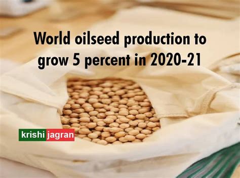 Usda Projects Rise In World Oilseed Production Expects Higher