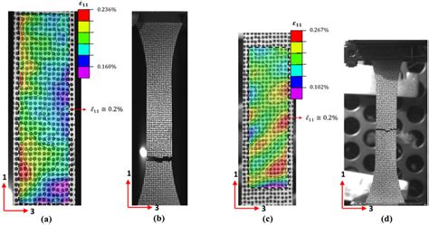 A Dic Computed Lagrangian Surface Strain Field At The 02 Download Scientific Diagram