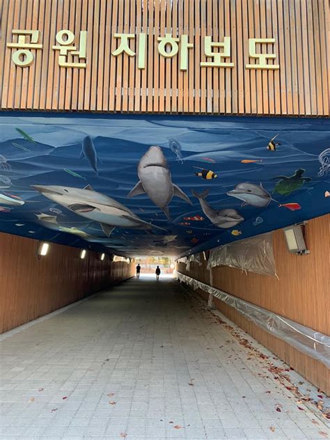 동탄4동 행정복지센터 청계중앙공원 지하보도 벽화와 바닥에 멋있는 상어🦈와 귀여운 돌고래🐬