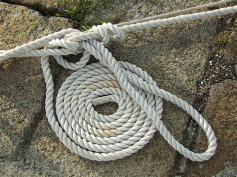 Pour Commencer Calamus Scriptorius