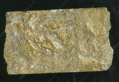 Mining Drill Core Sample With Gold Content Stock Image A1500213