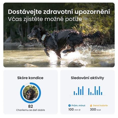 Tractive GPS DOG XL Adventure Edition - GPS Halsbänder für Hunde ...