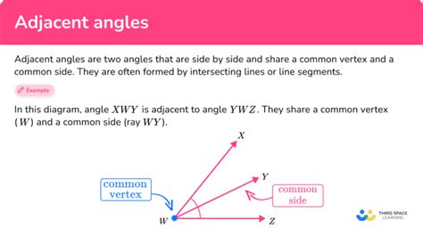 Adjacent Angles Definition Examples And Practice Questions
