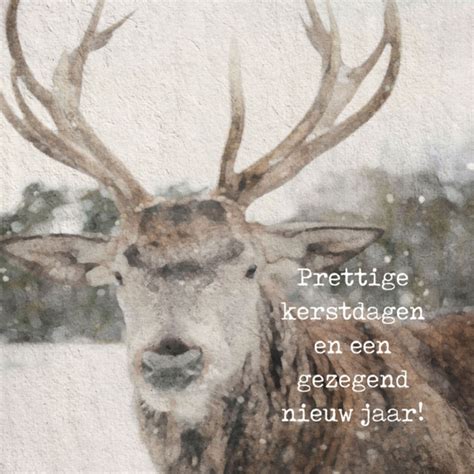 Minikaartje Kerst Eland