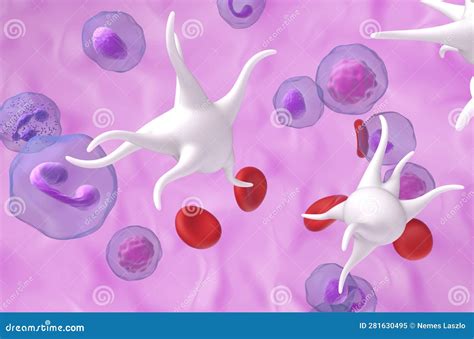 Set With Platelets Or Thrombocytes In Normal And Activated Version Vector Illustration