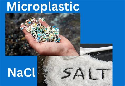 Microplastic And Salt Insect School