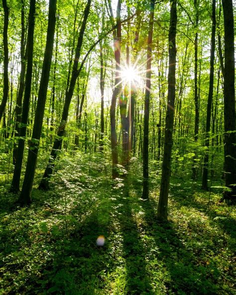 Unlocking Success Best Practices For Designing Effective Actuarial