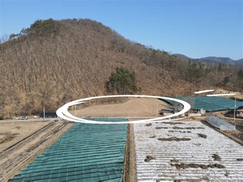 홍천 시내 가까운 남향 최고 집터 토지매매 2803제곱 847평 네이버 블로그