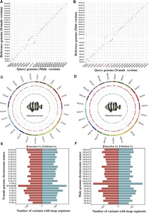 Innovative Approach For High Throughput Exploiting Sex Specific Markers In Japanese Parrotfish Innovative Approach For High Throughput Exploiting Sex Specific Markers In Japanese Parrotfish
