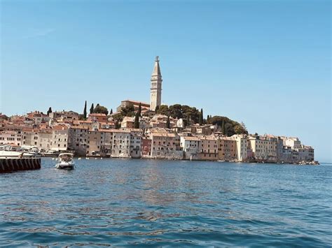 Zeljko Jurca Posted On Linkedin