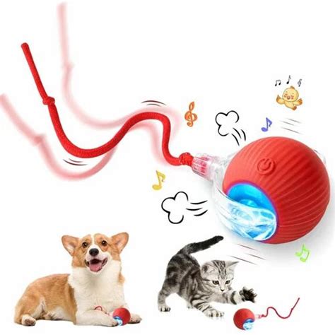 Red Interactive Cat Toy At ₹ 130piece In Surat Id 2855878061662