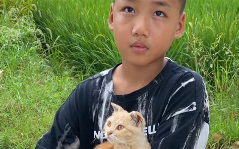 守村人收养了一只流浪猫 蚊子守村人 蚊子守村人 哔哩哔哩视频