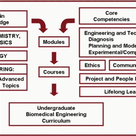 Pdf Bioengineeringbiomedical Engineering Education