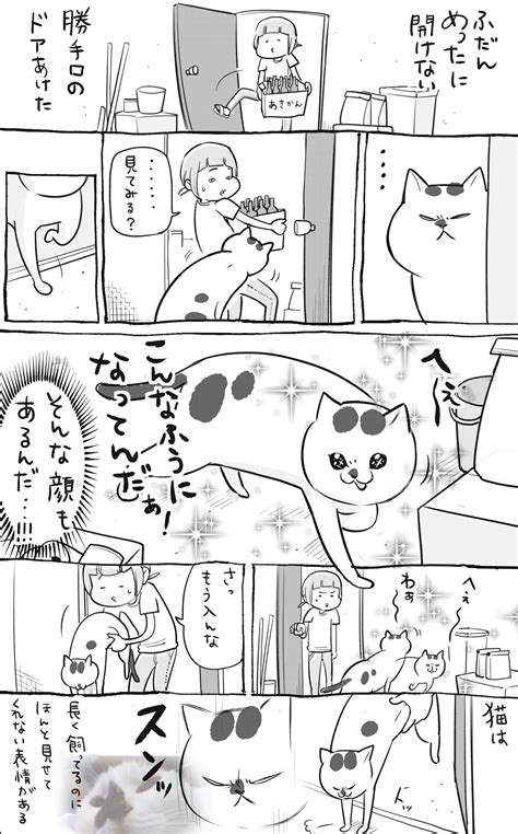 犬は長く飼っていても知らない表情をたくさん隠し持っている！一方、猫の場合は…なかなか見せてくれない表情に癒される ツイナビ