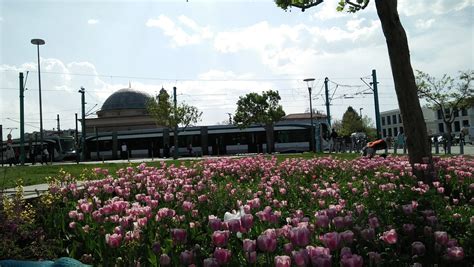 Menikmati Musim Tulip Di Turki KangDidik
